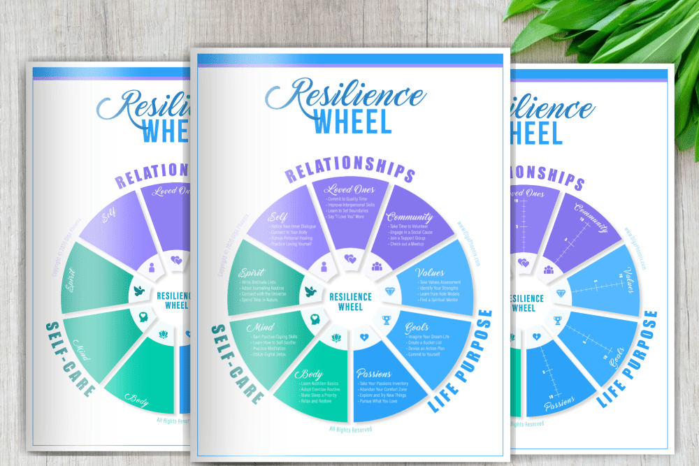 Resilience Wheel: World's #1 Wellbeing Tool! - Olga Phoenix