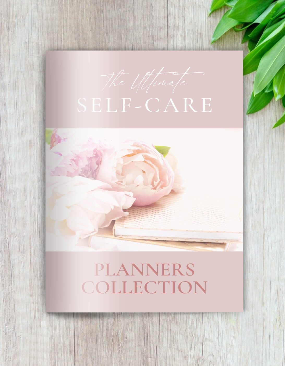 Self-Care Wheel: World's #1 Self Care Tool! - Olga Phoenix