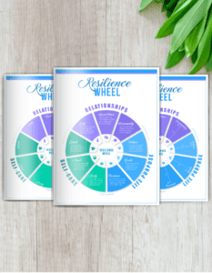 Resilience Wheel: World's #1 Wellbeing Tool! - Olga Phoenix
