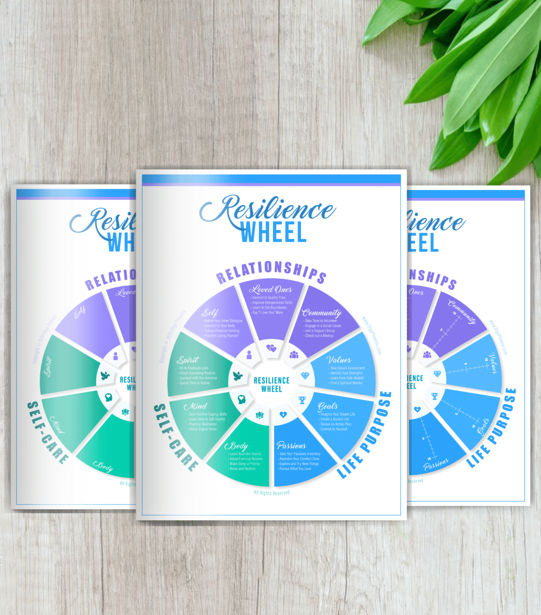 Resilience Wheel: World's #1 Wellbeing Tool! - Olga Phoenix